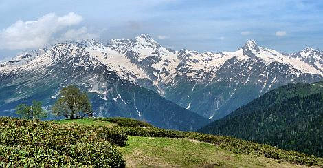 From Chuberi to Nakra